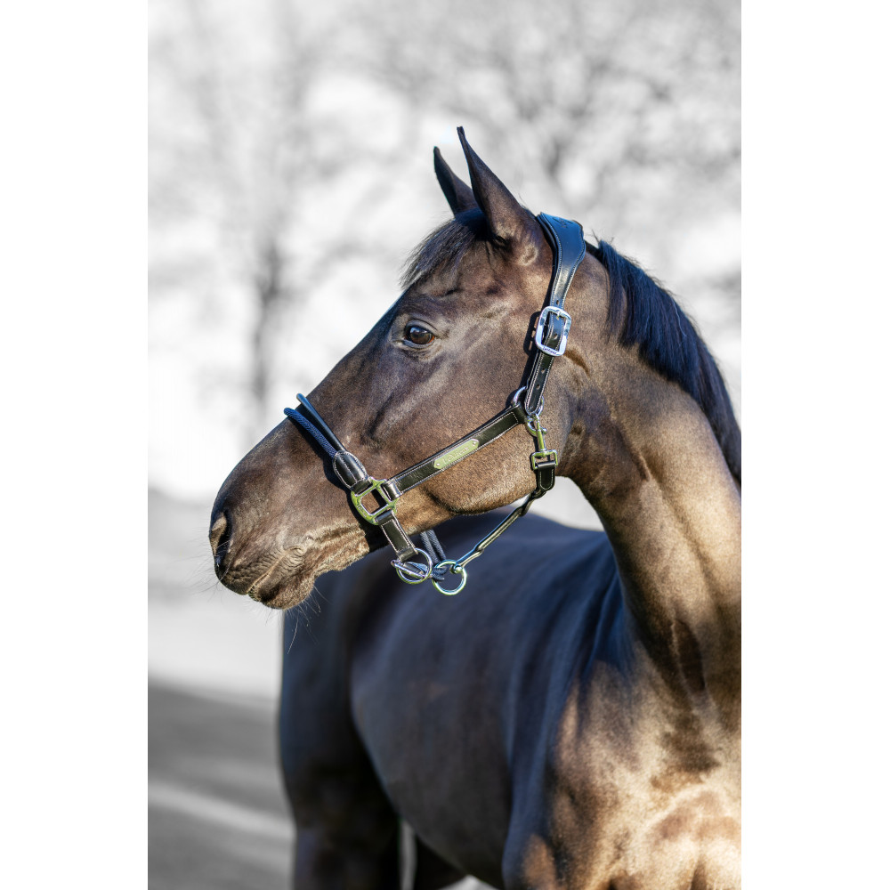 Achetez le Licol LeMieux Rope Control - Contrôle parfait pour chevaux vifs