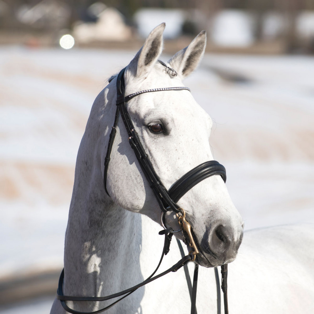 Bride Weymouth Vienna Horze - Equipement équitation