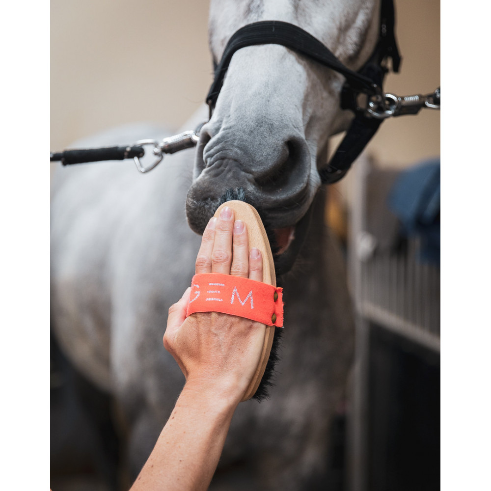 Brosse douce GEM