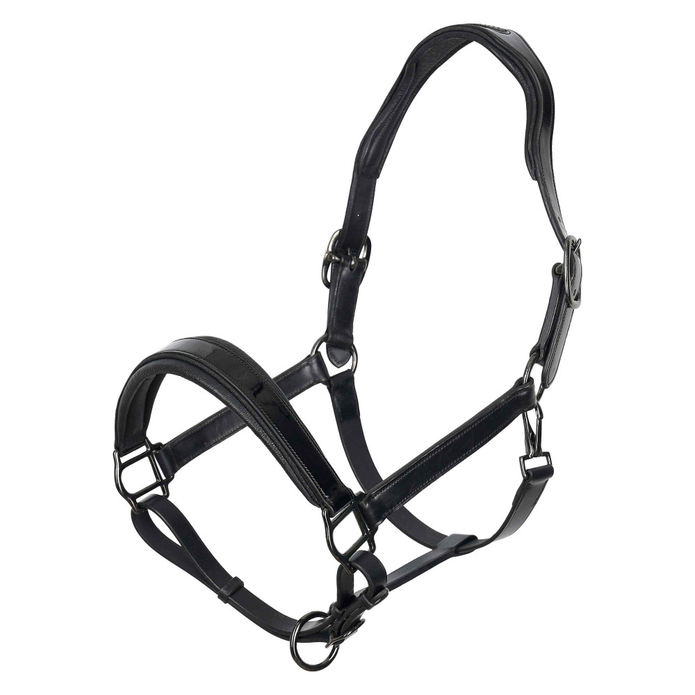 Licol d'équitation Imperial Riding Hera