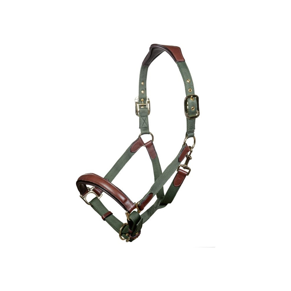 Licol d'équitation Luna en cuir et nylon - HKM