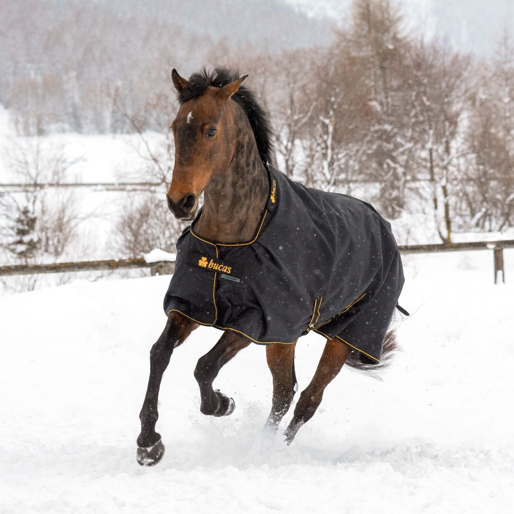 Couverture Bucas Irish Turnout Extra 300g