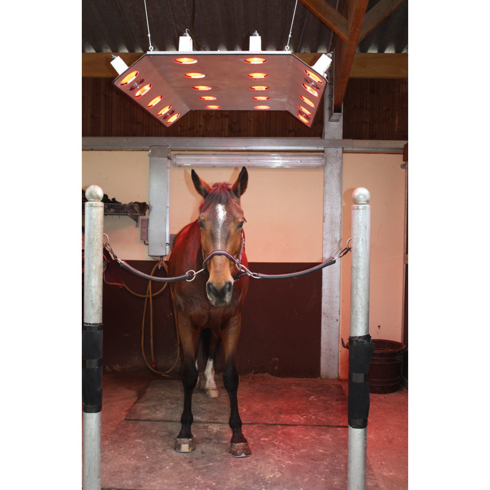 Solarium d'équitation S20L EVOlution pour chevaux