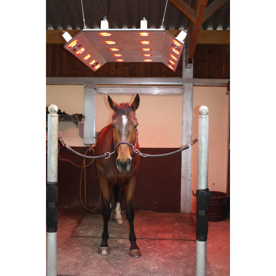 Solarium S20L EVOlution - Solariums pour chevaux