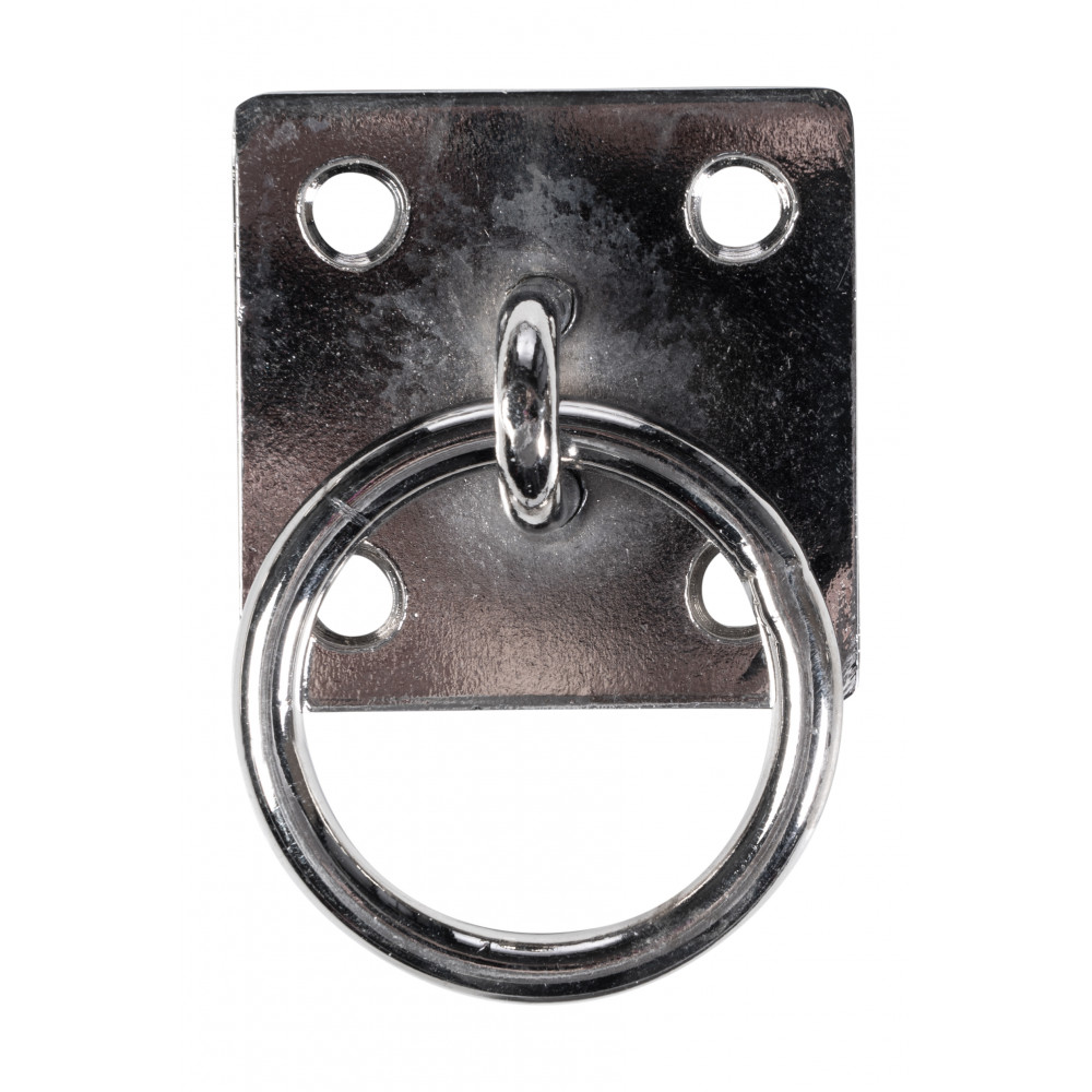 Anneau d'attache sur plaque à visser pour cheval