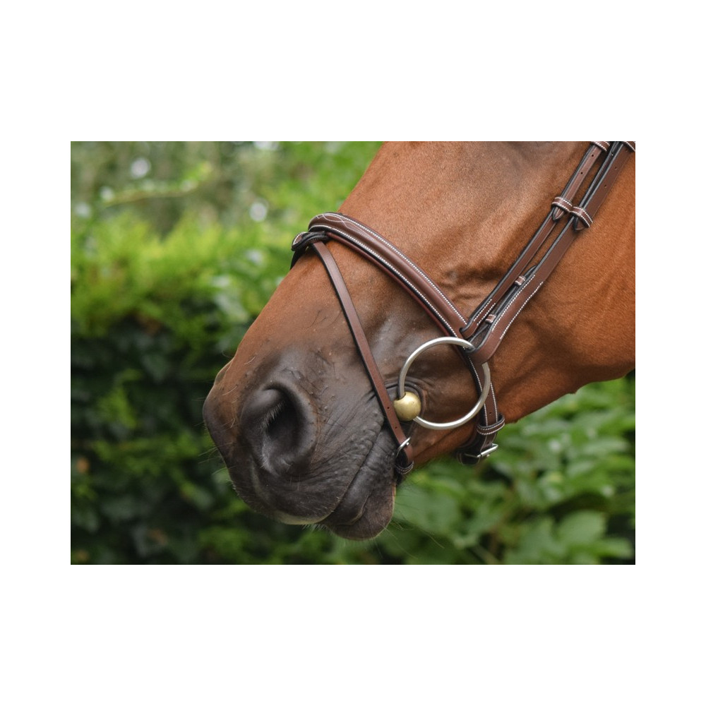 Muserolle d'équitation Paris Jump'In One en cuir