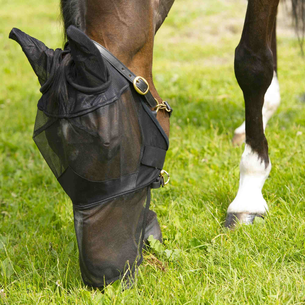 Masque anti-mouches filet épais pour Cheval, Poney ou Shetland