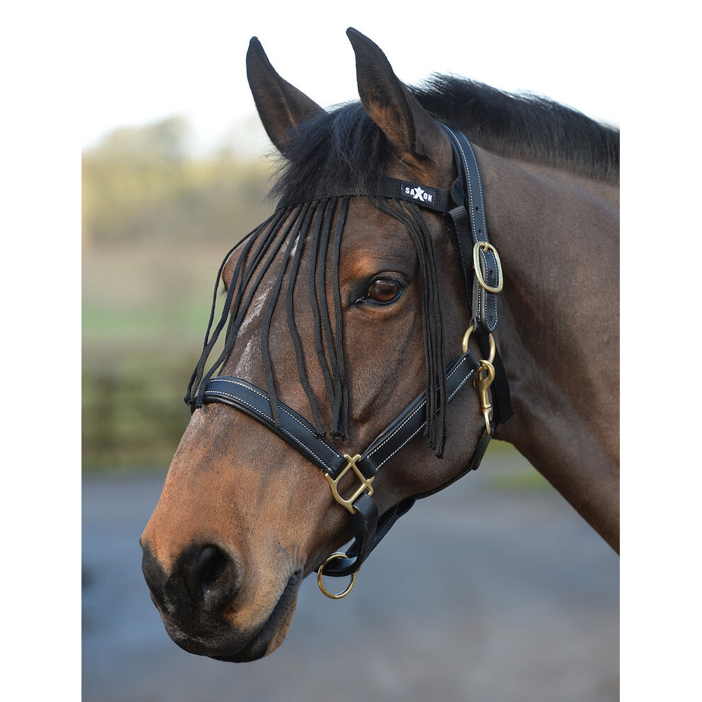 Frange anti-mouches pour chevaux Saxon