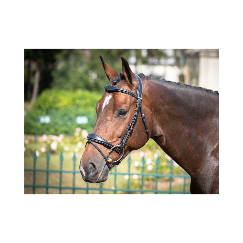 Bridon d'équitation Bruxelles - Confort et Élégance