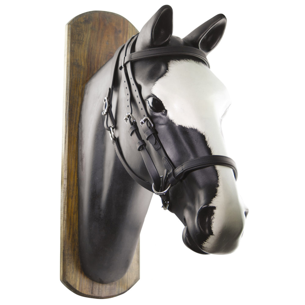Bridon d'équitation Biothane pour Horse Ball