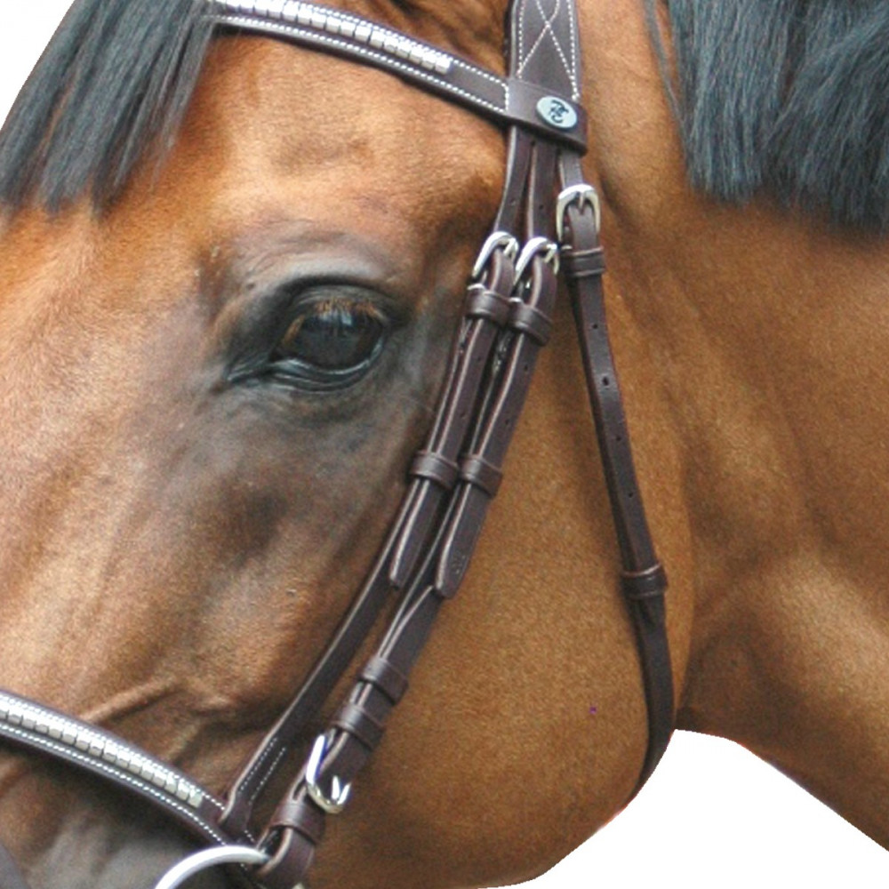 Bridon Deauville Combiné Privilege Equitation pour Cheval et Poney