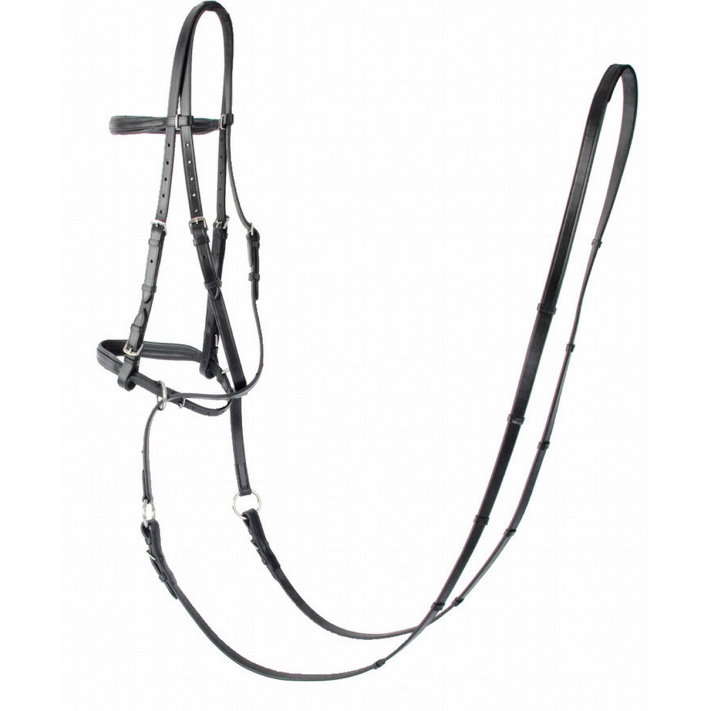 Bridon Bitless T de T pour cheval