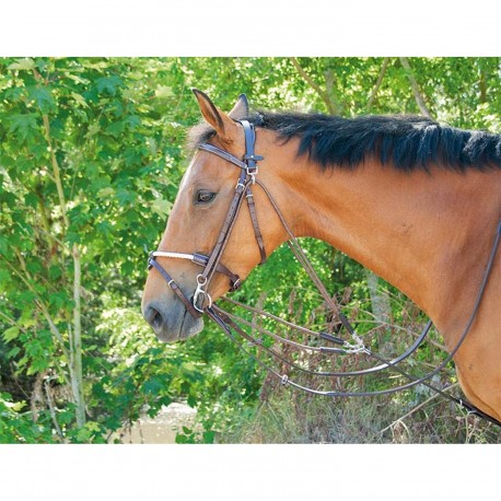Gogue classique T de T pour Cheval