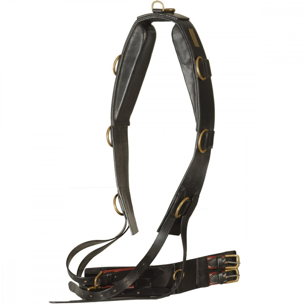 Surfaix de travail cuir à coussins pour cheval Chetak