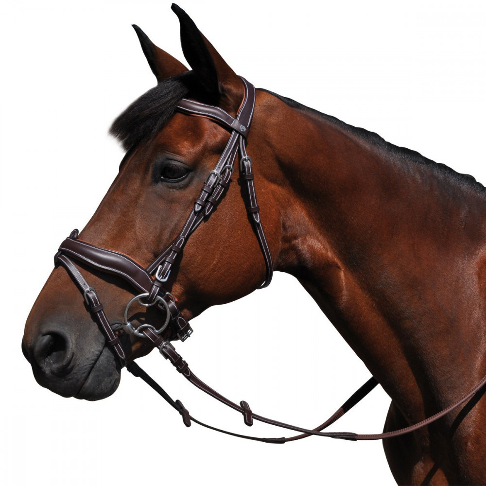 Bridon d'équitation Flags & Cup Kopenhagen