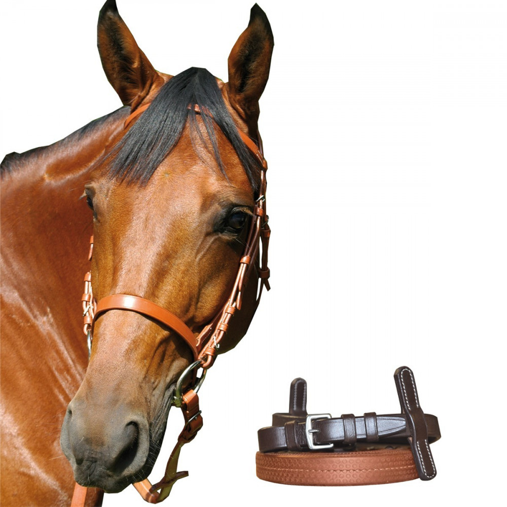 Bride d'entraînement Chetak pour cheval