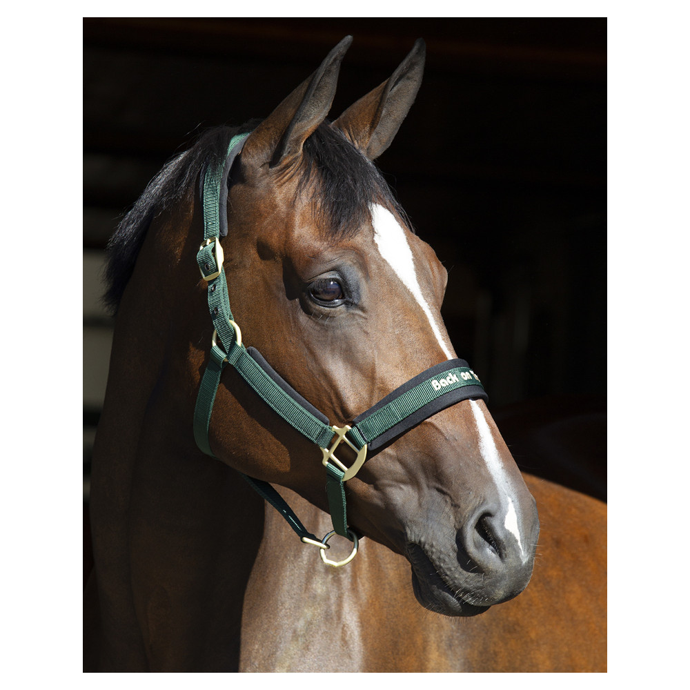 Licol Werano Back On Track - Equipement cheval