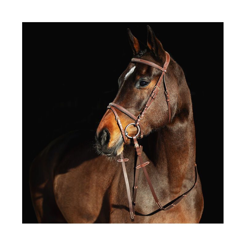 Filet cheval : Matériel d'Equitation | EQUI-CLIC