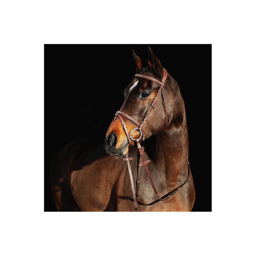 Filet d'équitation Constance Horze pour chevaux