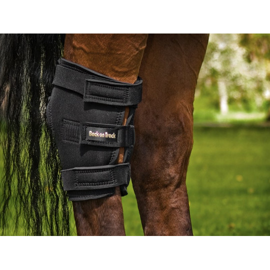 Protège-jarret Back on Track - Protection Cheval