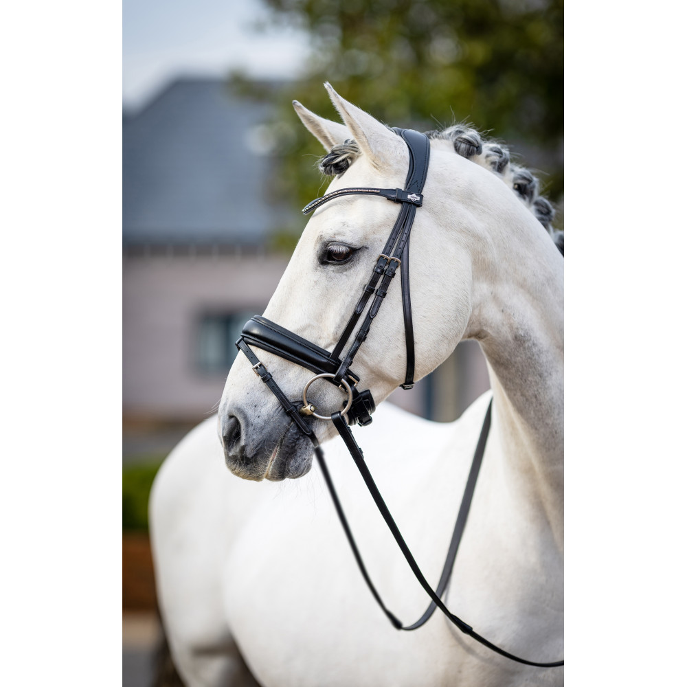 Bridon de dressage Classic LeMieux