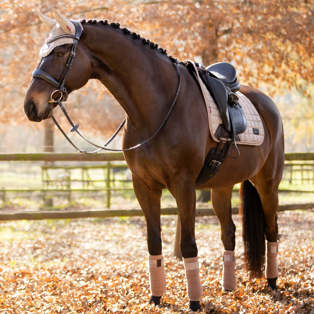 Bandes de polo Rhone LeMieux