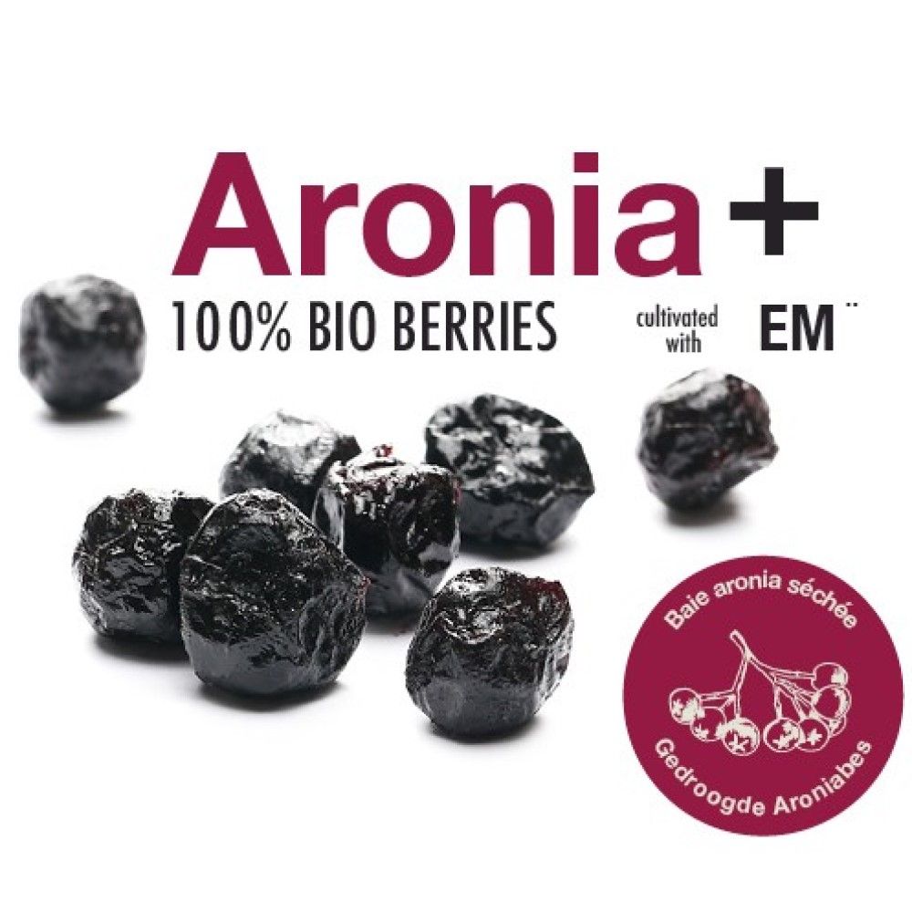 Baie dAronia séchée : aliment complémentaire pour les chevaux