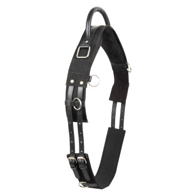 Surfaix cheval : Matériel d'Equitation | EQUI-CLIC