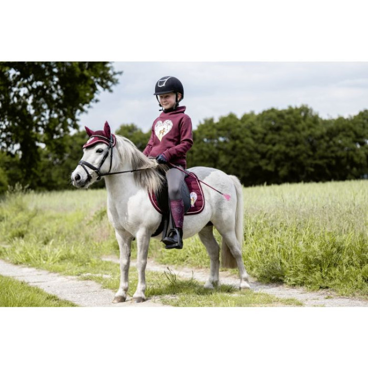 Bonnet anti-mouches pour cheval Dream Team HKM