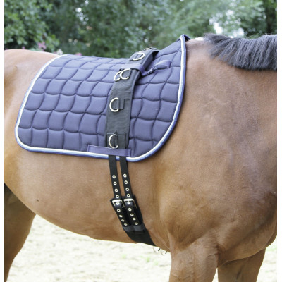 Surfaix cheval : Matériel d'Equitation | EQUI-CLIC