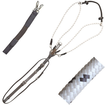 Gogue Cheval - Enrênement Equitation