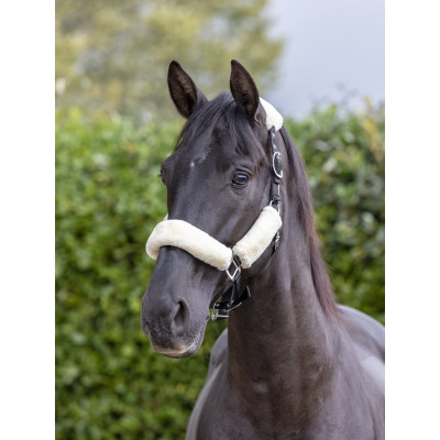 Licol moumoute : Matériel d'Equitation | EQUI-CLIC